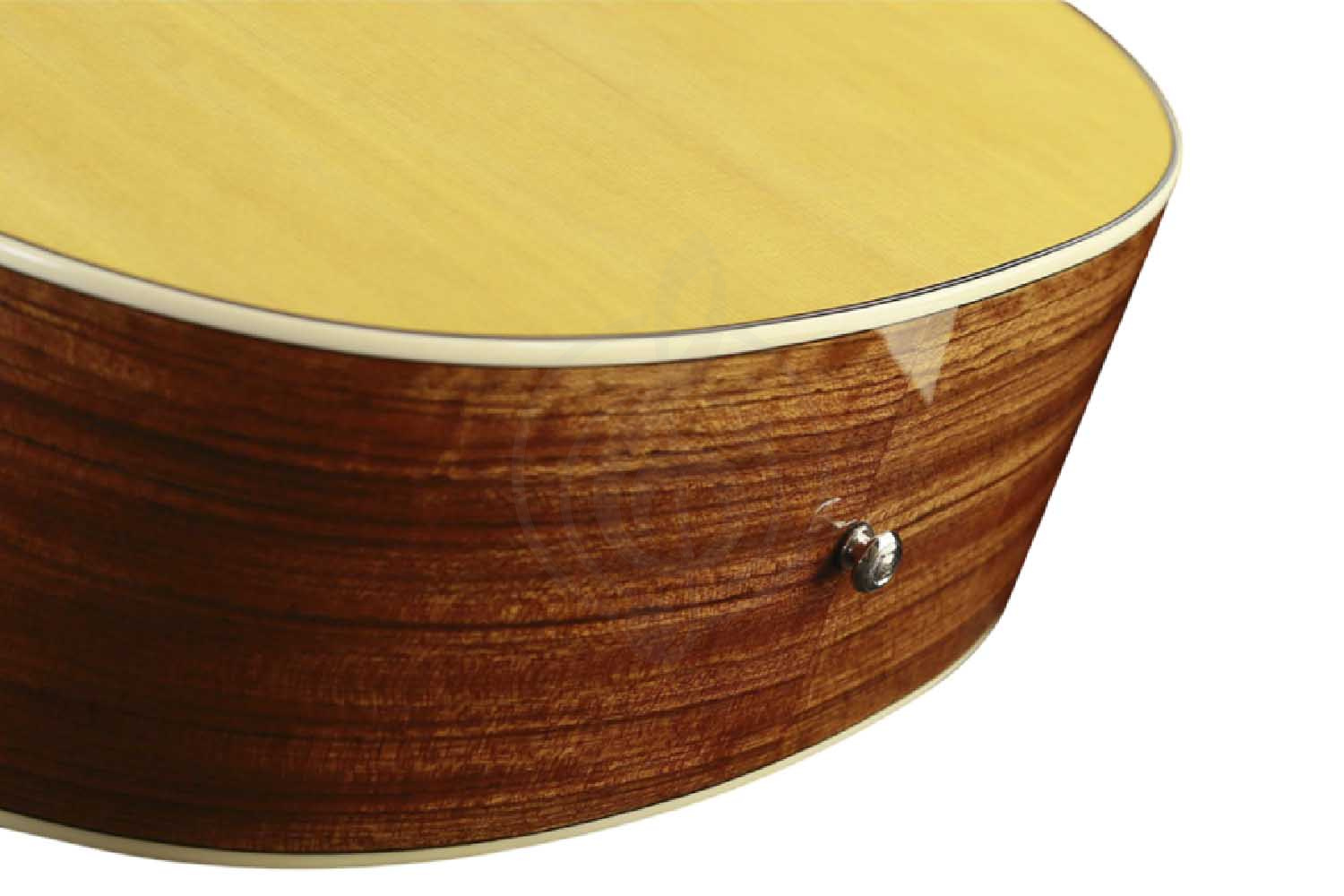 MOLLO GAC-10 VT - Гитара акустическая купить по доступной цене